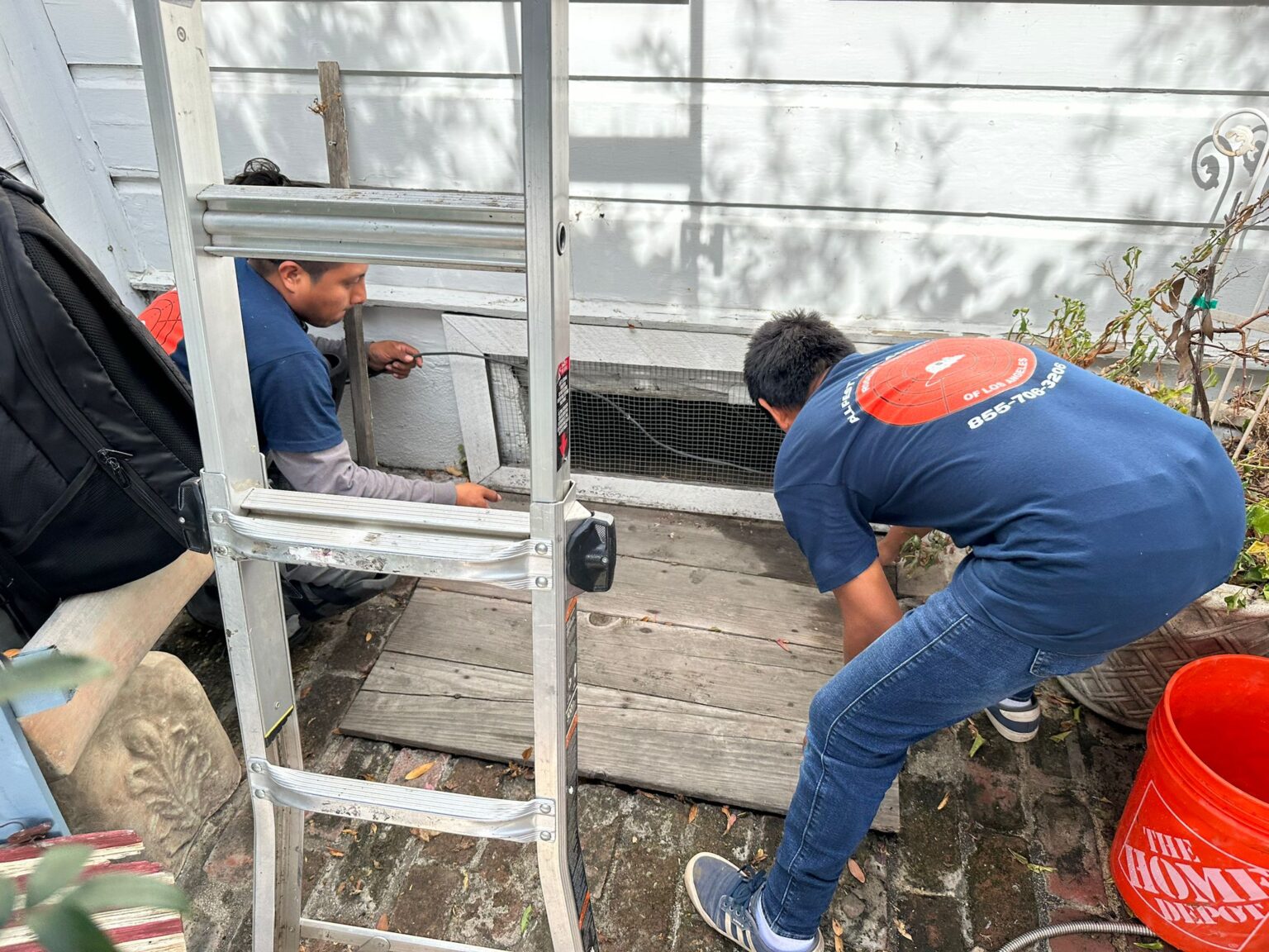 Rodent Proofing Crawl Space